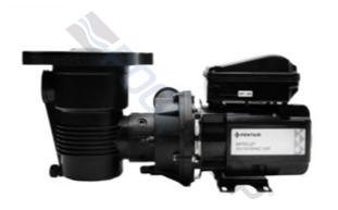 POOL360 | OptiFlo® Aboveground Pool Pump 1.5HP 230V 60Hz EXPORT ONLY