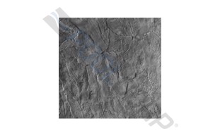POOL360 | 60" x 60" Large Seamless Roman Slate Texture Concrete Stamp
