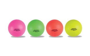POOL360 | Deluxe Water Sport Ball