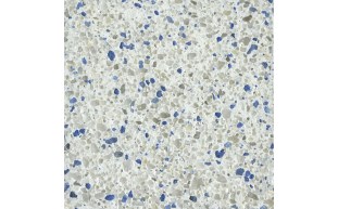 POOL360 | Marquis Series 80 lbs Exposed Aggregate Pool Finish Bluestone