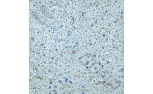 horizon | Marquis Series 80 lbs Exposed Aggregate Pool Finish Maui
