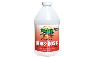 POOL360 | Quart Bottle Phos-Boss Max