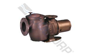 POOL360 | C Series Commercial Bronze Pump 10 HP 220/440V 25.3/12.6 Amp