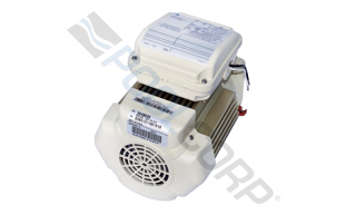 POOL360 | 1 Speed Almond 56Y TEFC Square Flange Pump Motor .75HP 1 Ph ...