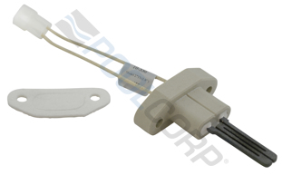 POOL360 | Ignitor with Gasket for PowerMax PM 500-2000 Commercial Pool ...