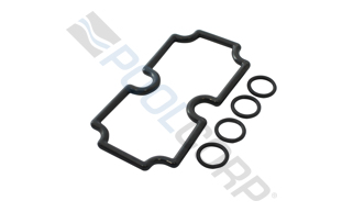 POOL360 | O-Ring Kit for MasterTemp 125 Heater