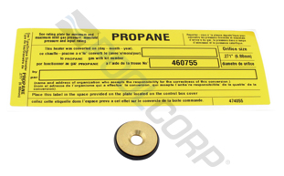 POOL360 | Natural Gas to Propane Conversion Kit for 300 MasterTemp ...