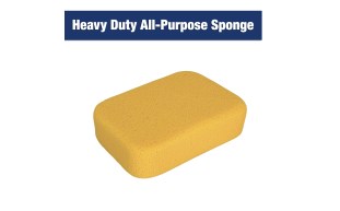 POOL360 | X-Large Round Sponge