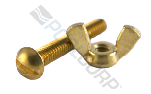 POOL360 | Brass Bolt and Wing Nut