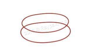 POOL360 | O-Ring Gasket