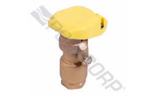 POOL360 | 33DRC 3/4" Quick Coupling Brass Valve with Rubber Cover