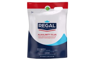 POOL360 | 10 lbs Alkalinity Plus Bag