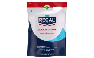 POOL360 | 10 lbs Alkalinity Plus Bag