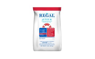 POOL360 | 2 lb pH Plus Pouch