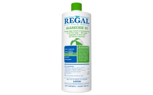 POOL360 | 1 qt Algaecide 50