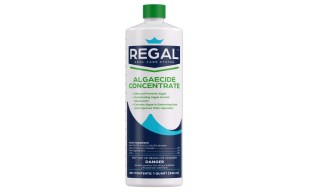 POOL360 | 1 qt Algaecide Concentrate Bottle