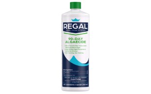 POOL360 | 1 qt 90-Day Algaecide Bottle