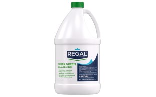POOL360 | 1 gal Jug Super Green Algaecide 4 per Case