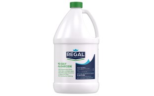 POOL360 | 1 gal 90-Day Algaecide