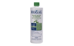 POOL360 | 1 gal Super Black Algaecide