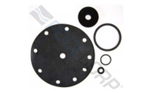 POOL360 | CH EA 1" REP KIT