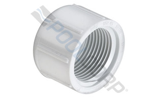 POOL360 | 1/2" White SCH40 PVC Cap FIPT