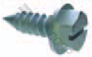 POOL360 | #8 x 1/2" Slot Lock Screw for Inline Tablet Feeder