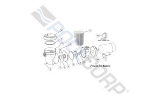 POOL360 | Gasket F/Plug Pipe Drain 10 Pack