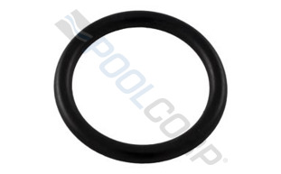 POOL360 | O-Ring 10 Pack