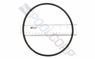 POOL360 | TA100D Valve Body and S240/S200/160T Lid O-Ring