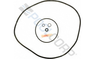 POOL360 | O-Ring for S160T Sand Filter Tank