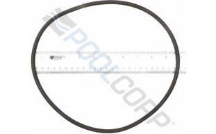 POOL360 | PLBC Seal Plate Clean & Clear Tank O-Ring