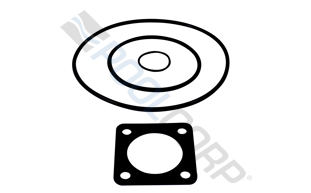 POOL360 | O-Ring Kit for Duraglass/Maxi P2RA and P2R Pumps Pre 1998