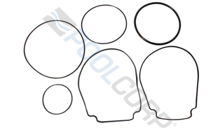 POOL360 | O-Ring Kit for Purex WhisperFlo Pump