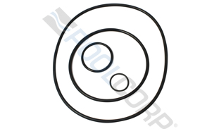 POOL360 | O-Ring Kit for Sta-Rite Maxi-Glas II Pump