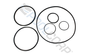 POOL360 | O-Ring Kit for Pac Fab Challenger Pump