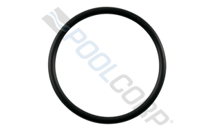 POOL360 | 1.5" Union and Diffuser O-Ring