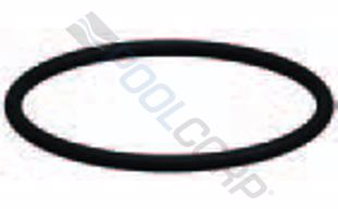 POOL360 | Cap O-Ring Viton (R172009) for Chlorinator