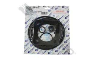 POOL360 | Viton Sta-Rite® P2R Pump Seal Kit