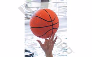 POOL360 | Replacement Basketball Ball