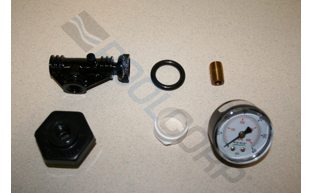 POOL360 | Air Relief Valve and Gauge Kit for System 3® Filters