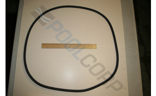 POOL360 | O-Ring Tank for 25" System 3® Filters