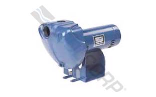 POOL360 | Sta-Rite DS3 Series Pro-Storm™ Medium Head Centrifugal Pump 2HP