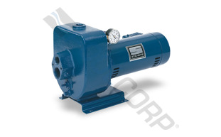 POOL360 | Sta-Rite HMS Series Cast Iron Horizontal Multi-Stage Jet ...