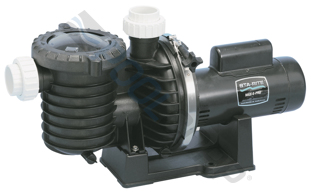 POOL360 | Sta-Rite® Max-E-Pro® 2-Speed Up Rated Pool and Spa Pump 1-1/2 ...