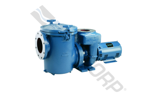 POOL360 | Sta-Rite® CCSP Series Commercial Pump 7.5 HP 200V 22.1 Amp