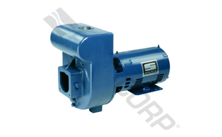 POOL360 | Sta-Rite® D Series Commercial Pump 5 HP 230V 22 Amp
