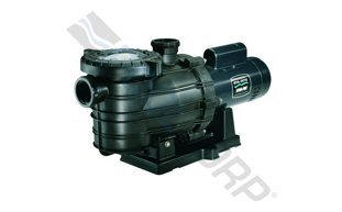 POOL360 | Sta-Rite® Dyna-Pro® 1-Speed Self-Priming Pool and Spa Pump 3/ ...