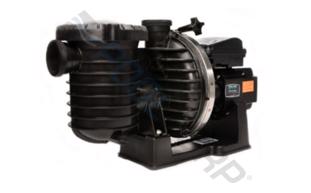 POOL360 | Sta-Rite® Max-E-Pro® 1-Speed High Efficiency Pump with TEFC ...