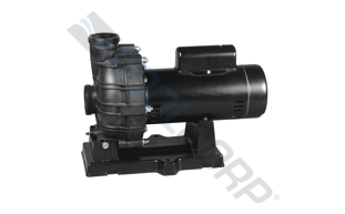 POOL360 | Dyna-Jet™ Spa/Water Pump 2 HP 230V 10.4 Amp